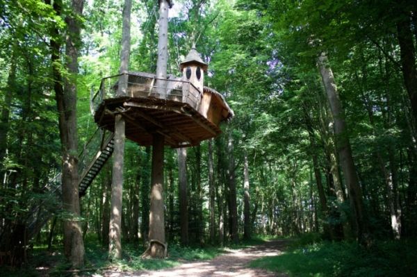 Wunderbar Bernachtung Baumhaus Sachsen Fotos