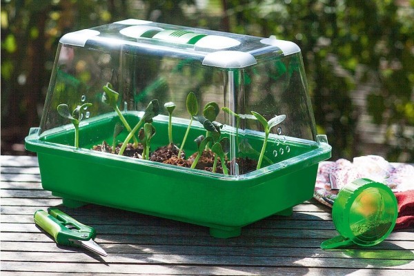 Mini Gewächshaus und seine Pluspunkte für Hobbygärtner - Trendomat.com