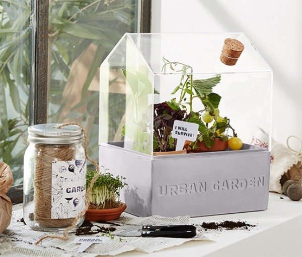 Mini Gewächshaus und seine Pluspunkte für Hobbygärtner - Trendomat.com